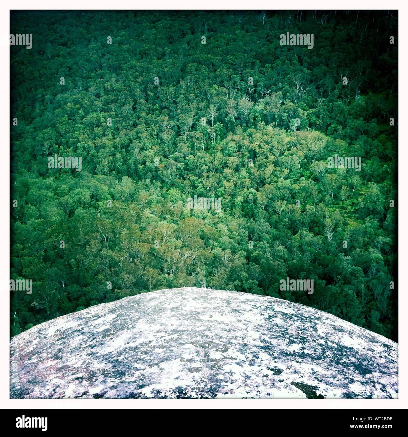 Aerial tree landscape Cut Out Stock Images & Pictures - Alamy