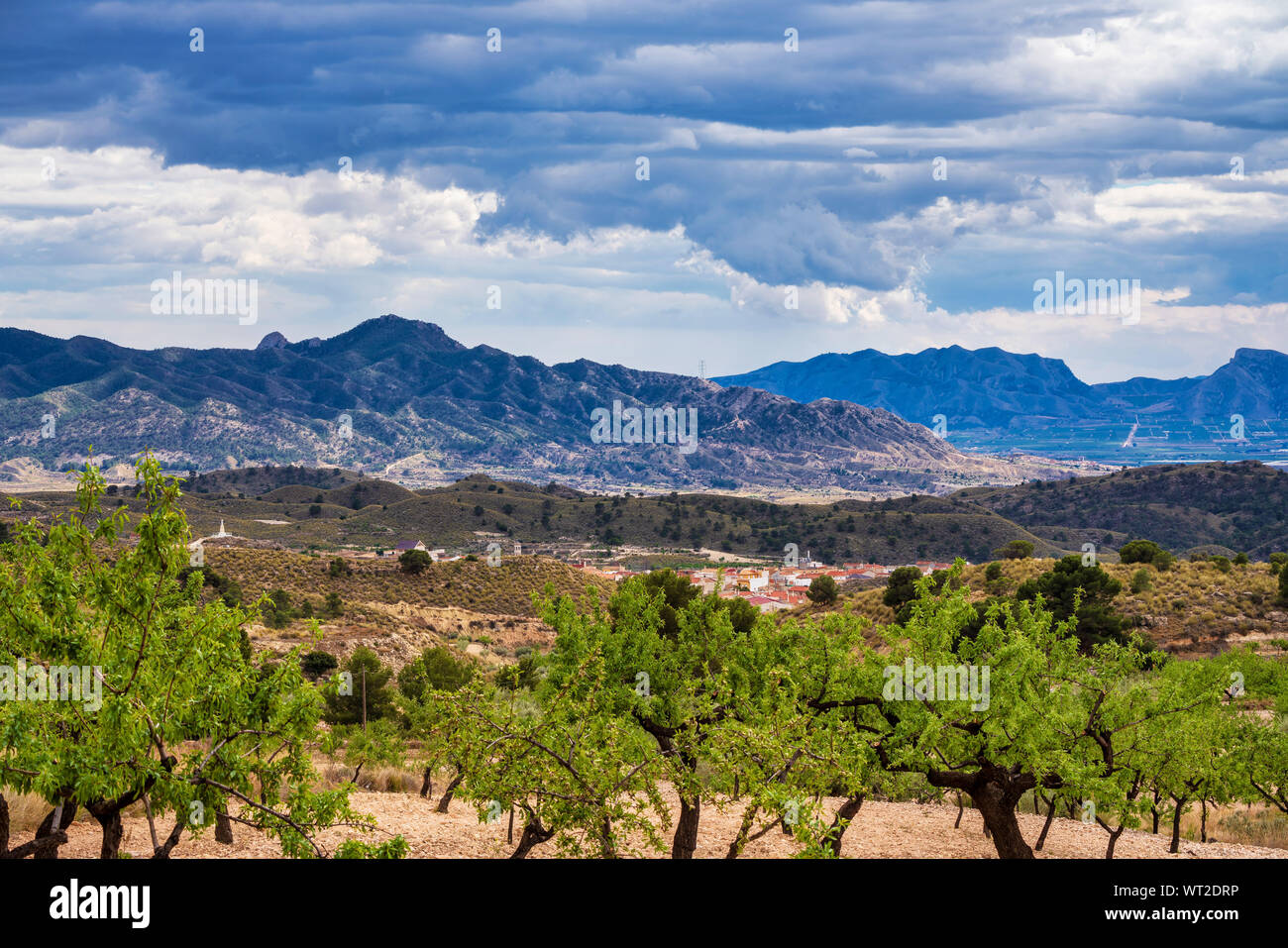 Landscape view of Barinas near Murcia in Spain, Europe Stock Photo - Alamy