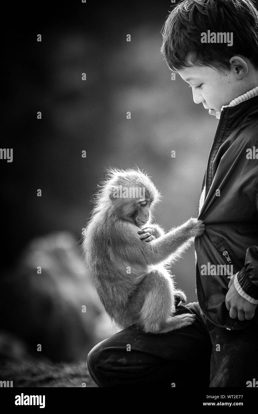 Monkey Boy High Resolution Stock Photography and Images - Alamy