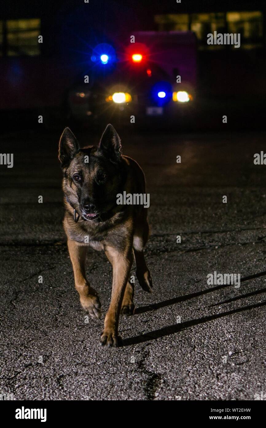 Police running hi-res stock photography and images - Alamy