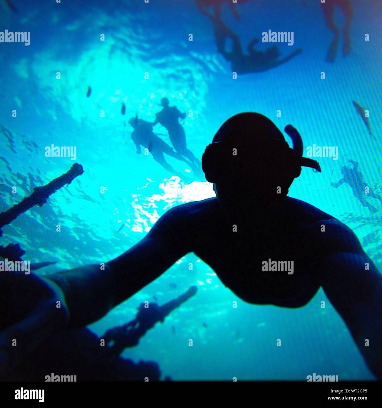 Underwater silhouette hi-res stock photography and images - Alamy