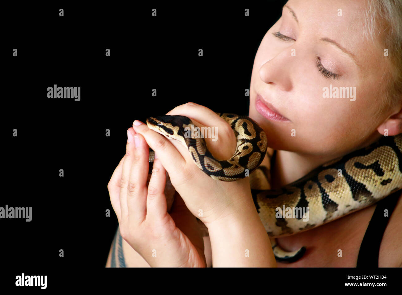 Snake Around Neck High Resolution Stock Photography and Images - Alamy