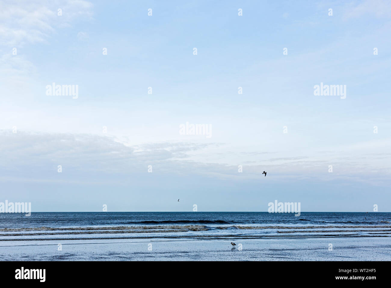 Norderney, Nordstrand, Strand, Himmel, Meer, Möwen Stock Photo - Alamy