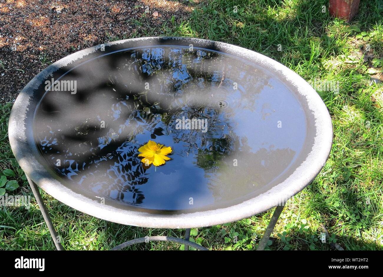 Garden basin hi-res stock photography and images - Alamy
