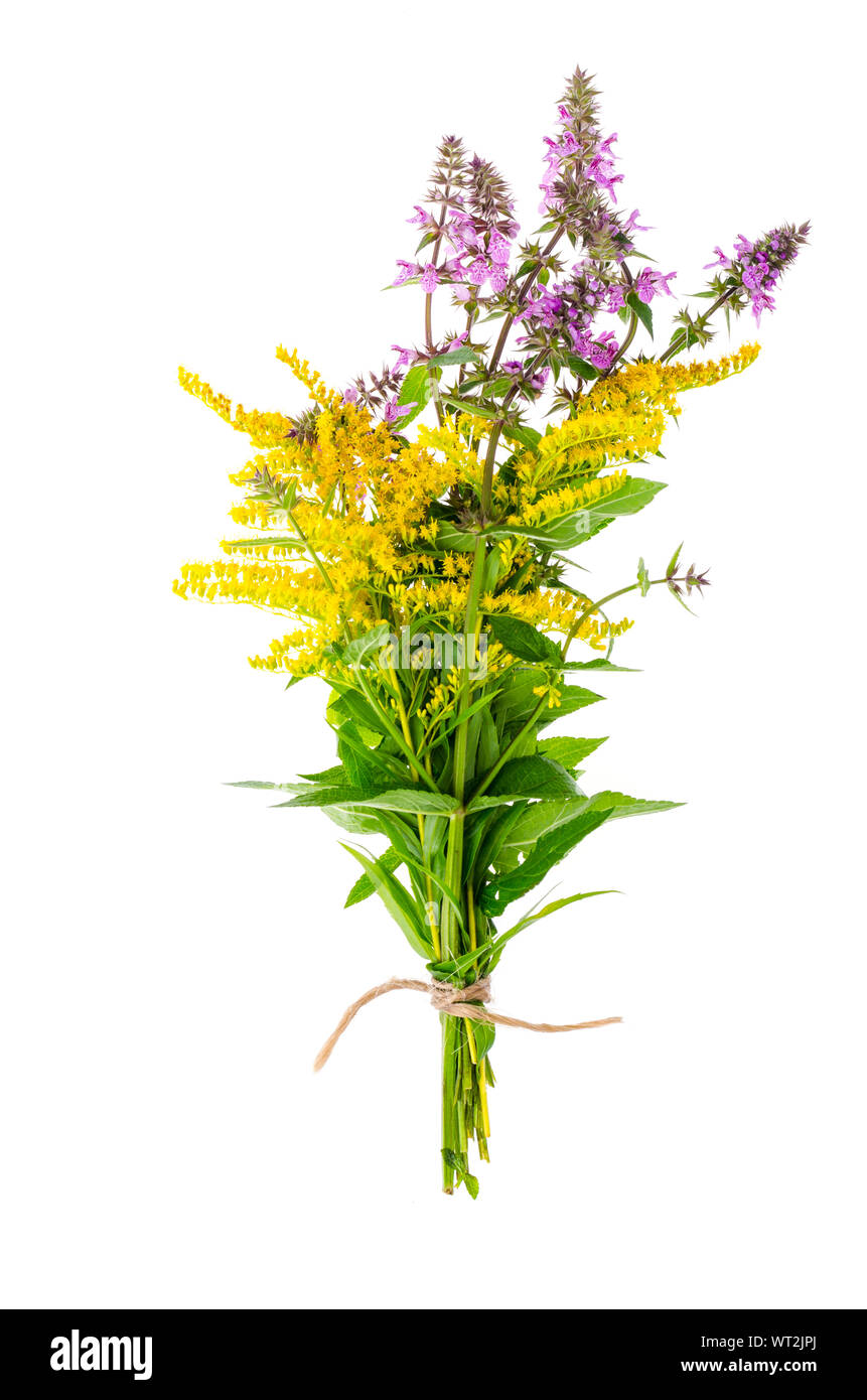 Bunch of wild wildflowers. Studio Photo Stock Photo - Alamy