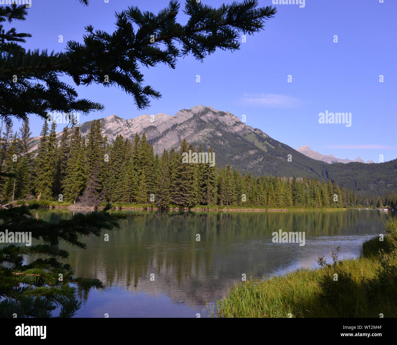 View from the Bow river trail in Banff, Alberta, Canada, looking ...