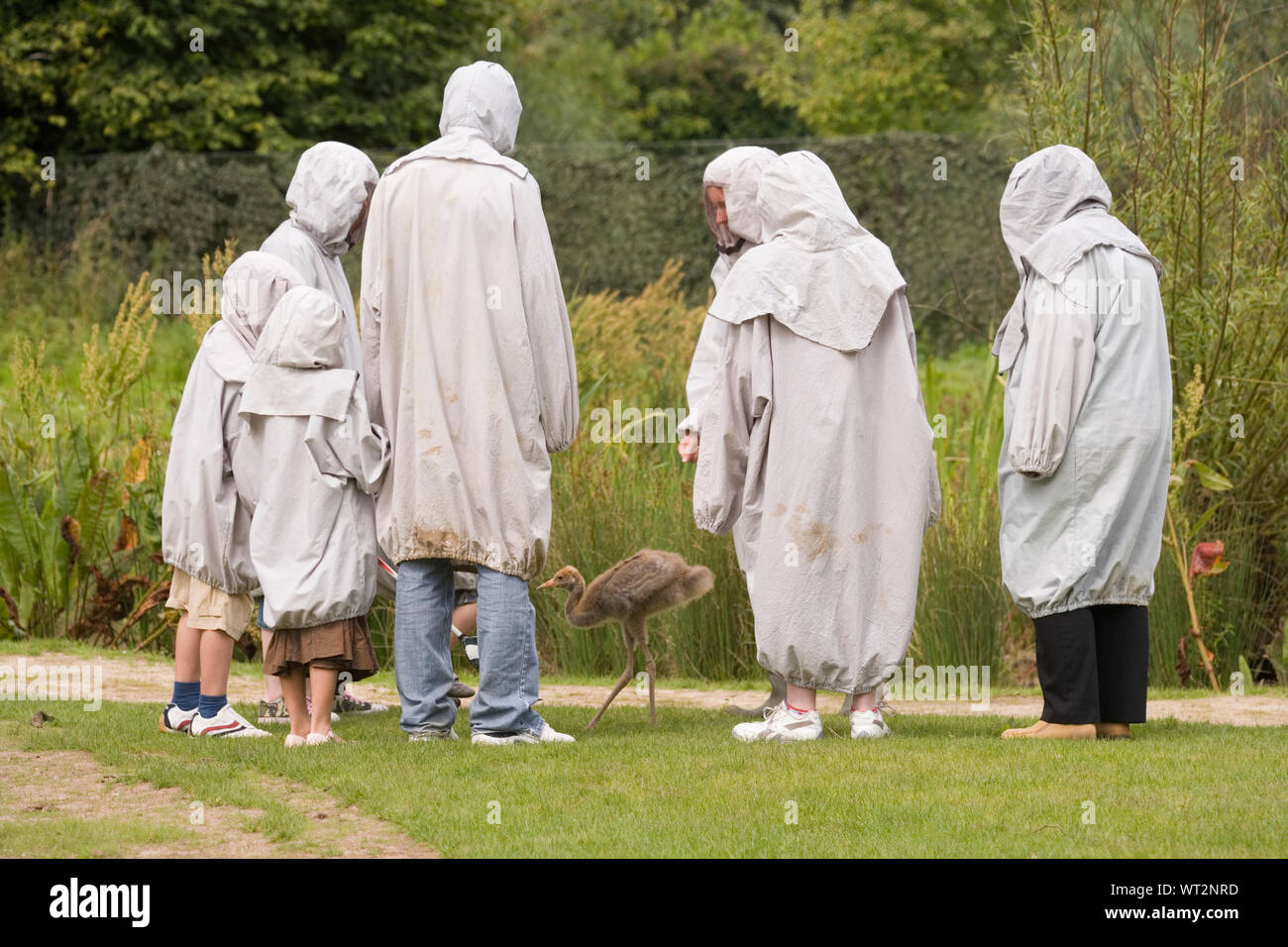 Disguise technique hi-res stock photography and images - Alamy