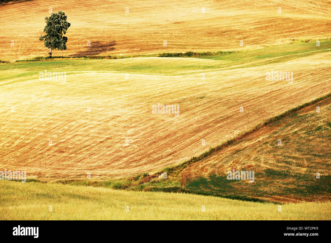 Scenic rural view hi-res stock photography and images - Alamy