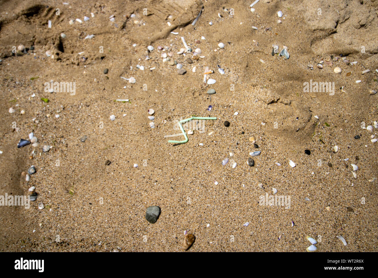 Plastic straw on a sandy beach Stock Photo - Alamy