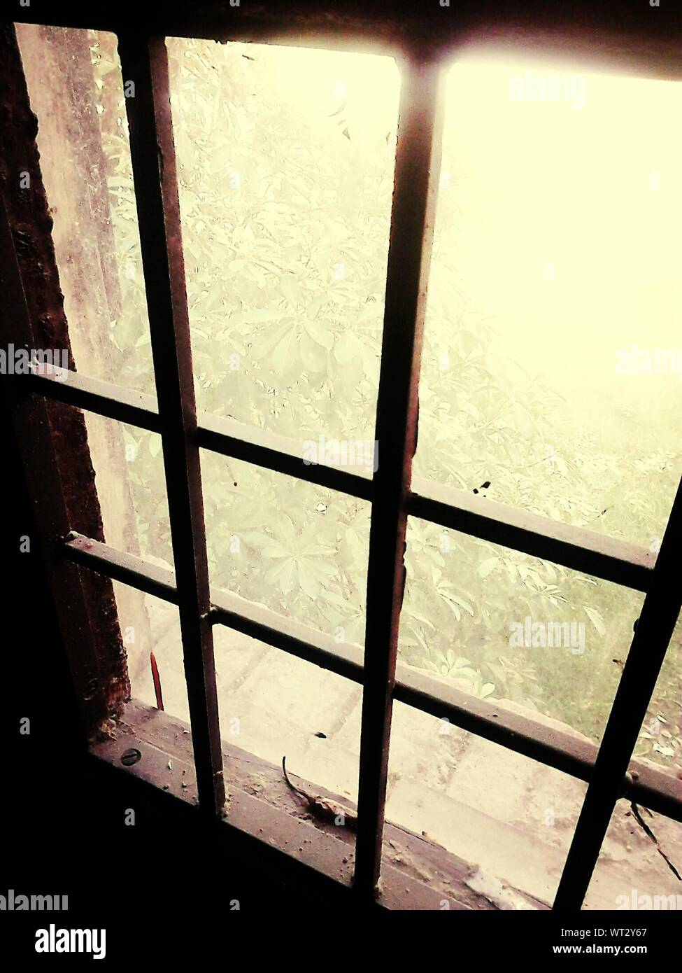 Grille window hi-res stock photography and images - Alamy