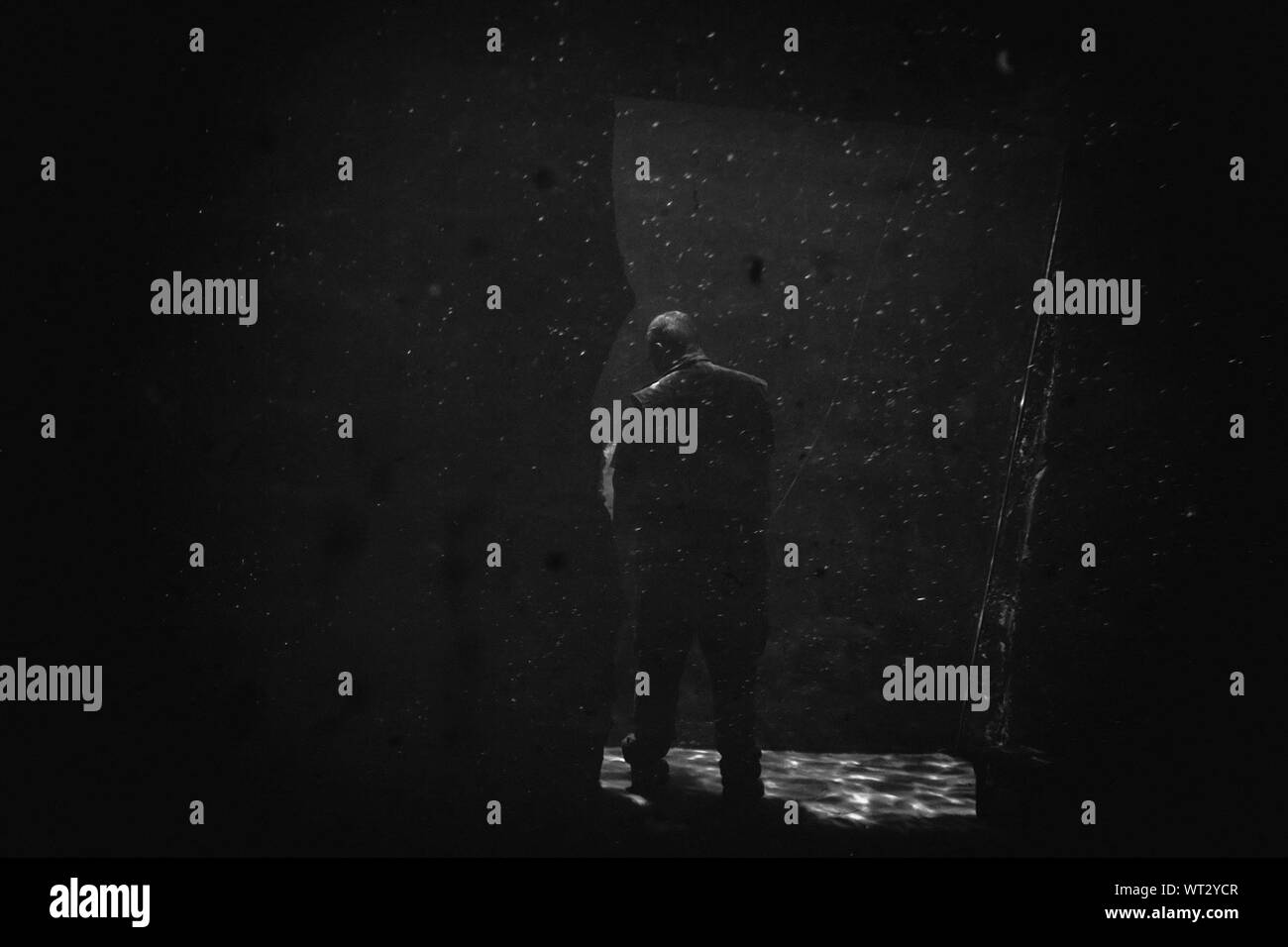 Cleaning fish aquarium Black and White Stock Photos & Images - Alamy