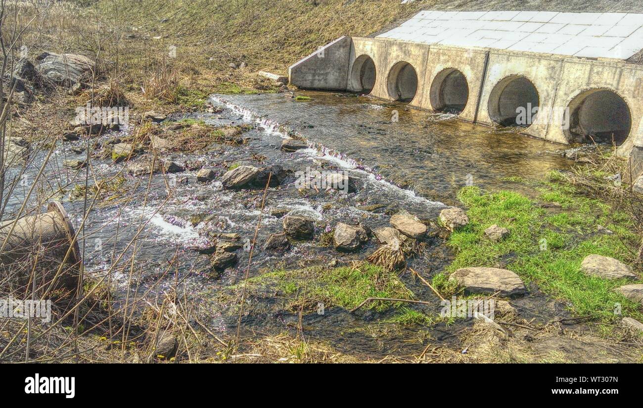 Through cement hi-res stock photography and images - Alamy