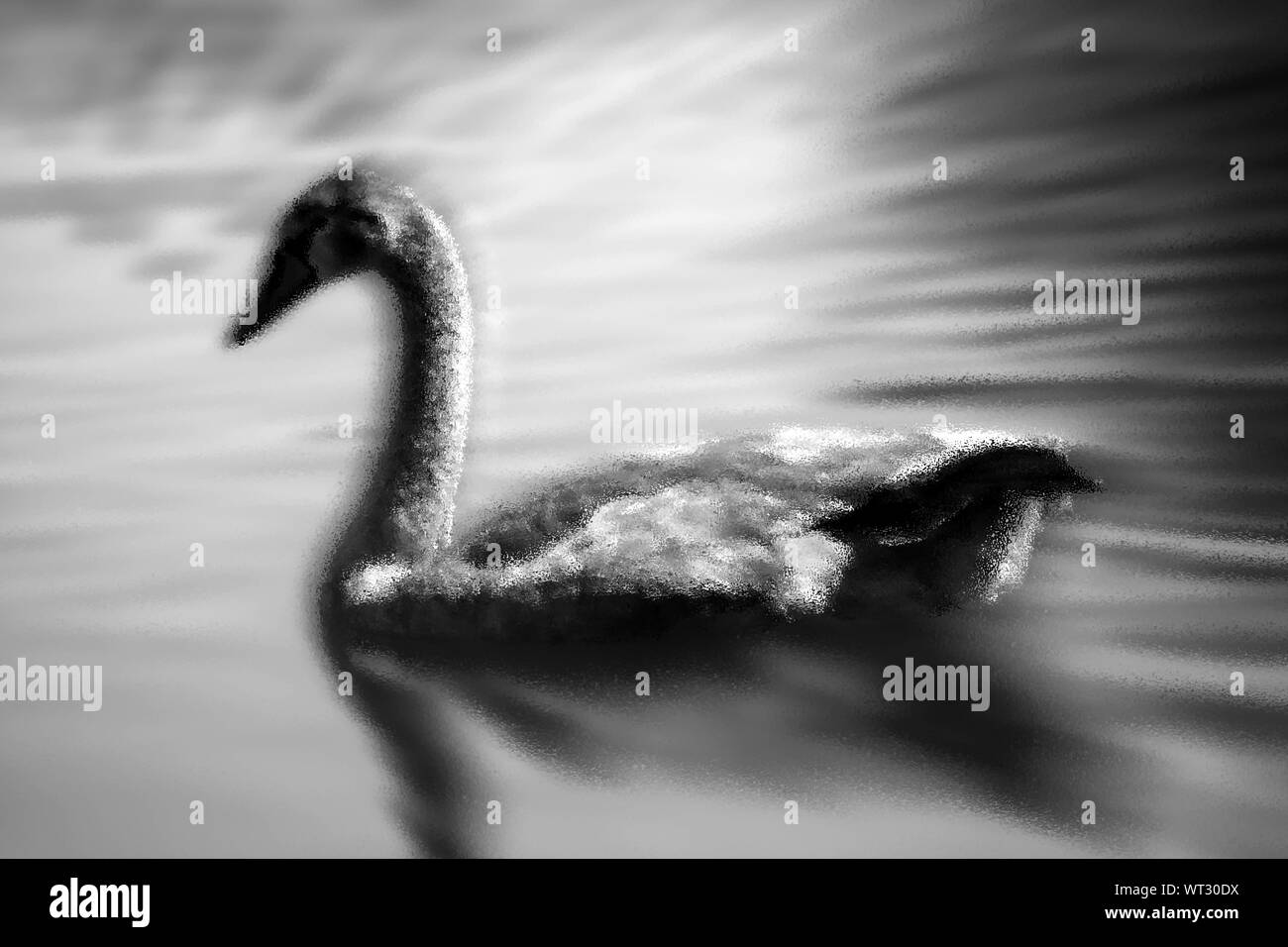 The frozen swan Stock Photo - Alamy