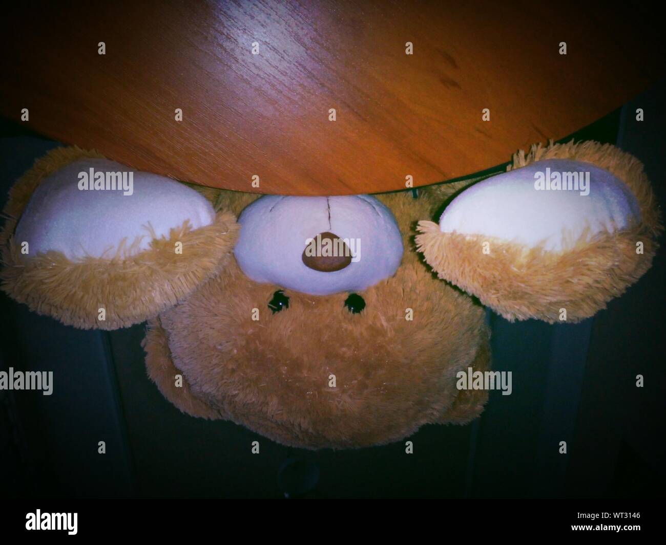 Directly under hi-res stock photography and images - Alamy