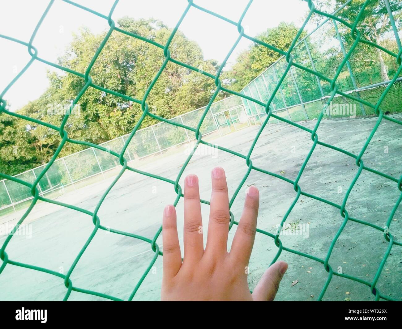 Hand fence chainlink fence hi-res stock photography and images - Alamy