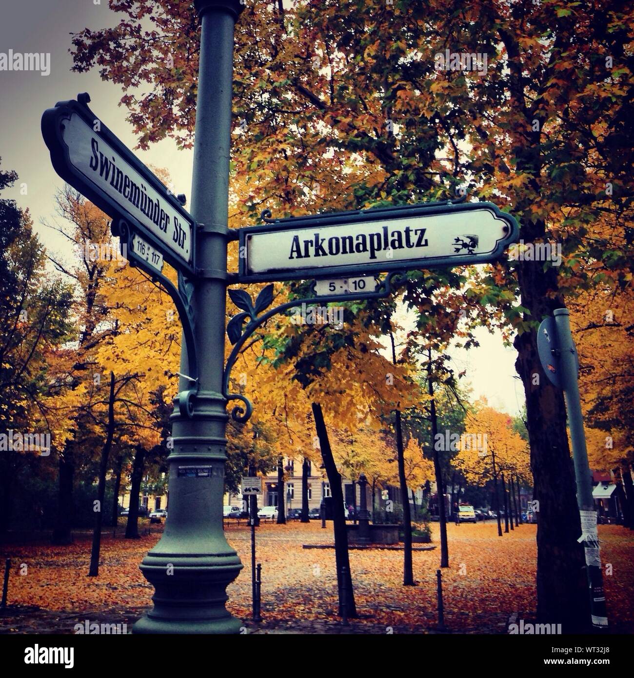 Directional Signs Against Park In Autumn Stock Photo - Alamy