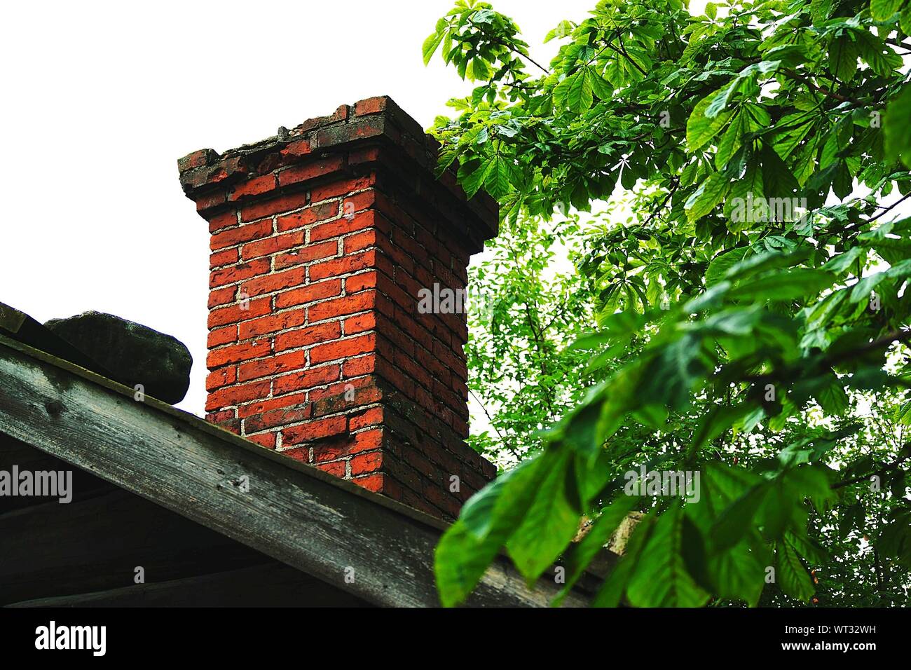 House chimney tree hi-res stock photography and images - Alamy