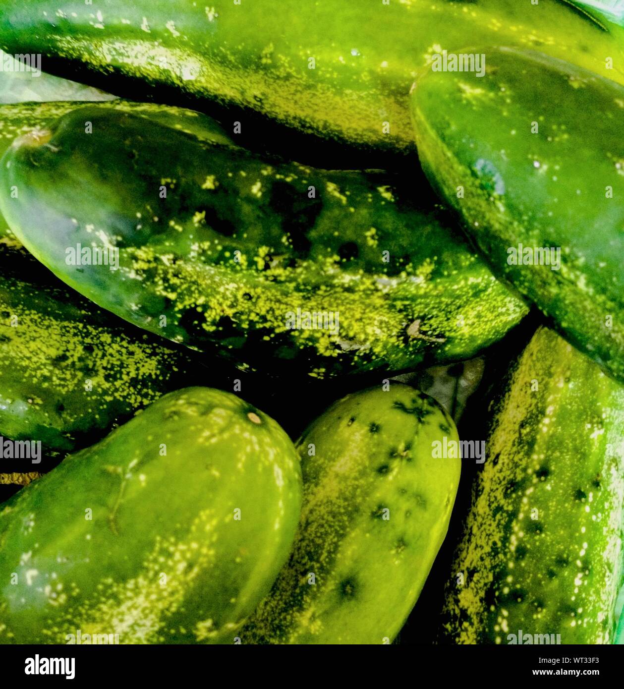 Pickle frame hi-res stock photography and images - Alamy