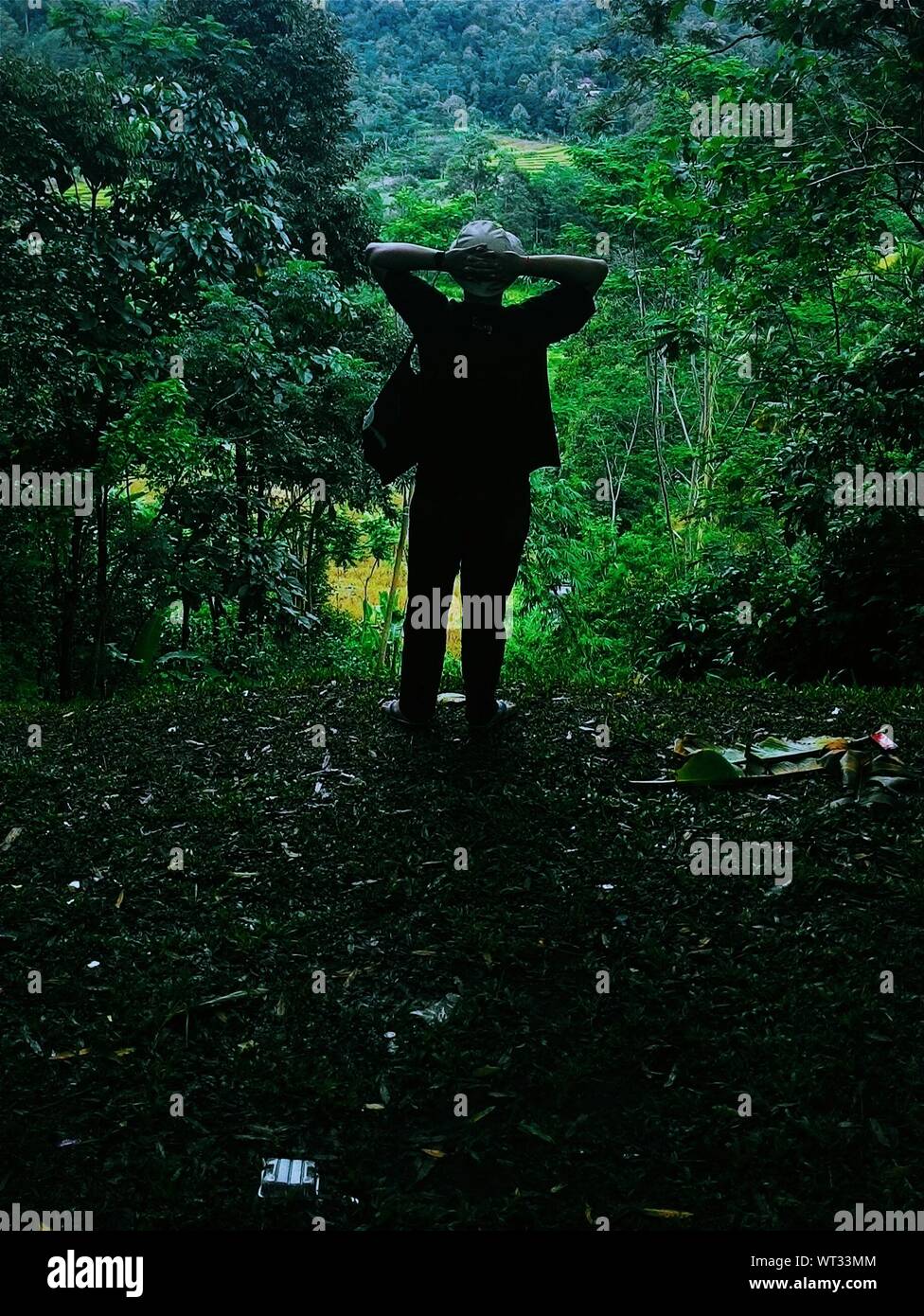 Man standing behind tree in hi-res stock photography and images - Alamy