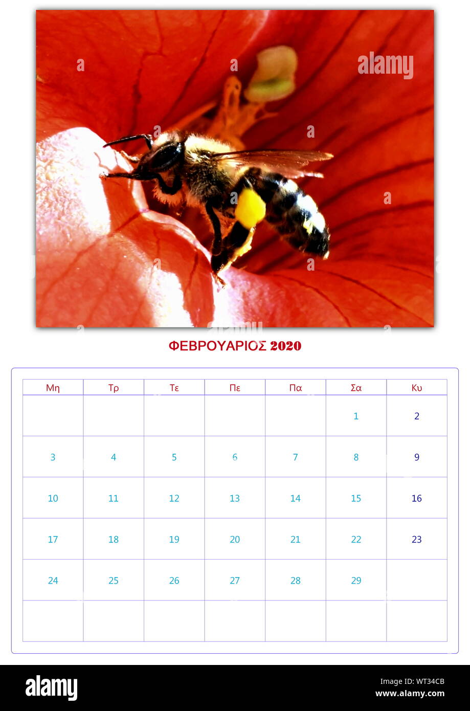 Bees calendar Cut Out Stock Images & Pictures - Alamy