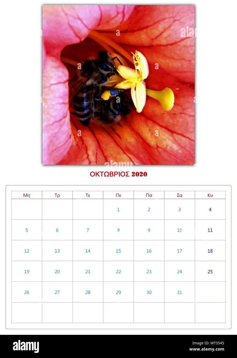 calendar, 2020, per month, 12 photos, bees, butterflys, collection 1 ...