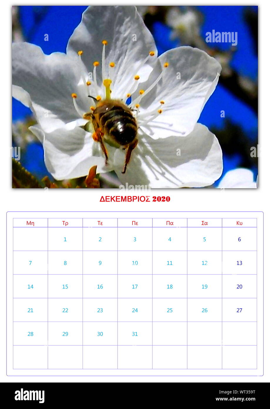 Bees calendar Cut Out Stock Images & Pictures - Alamy
