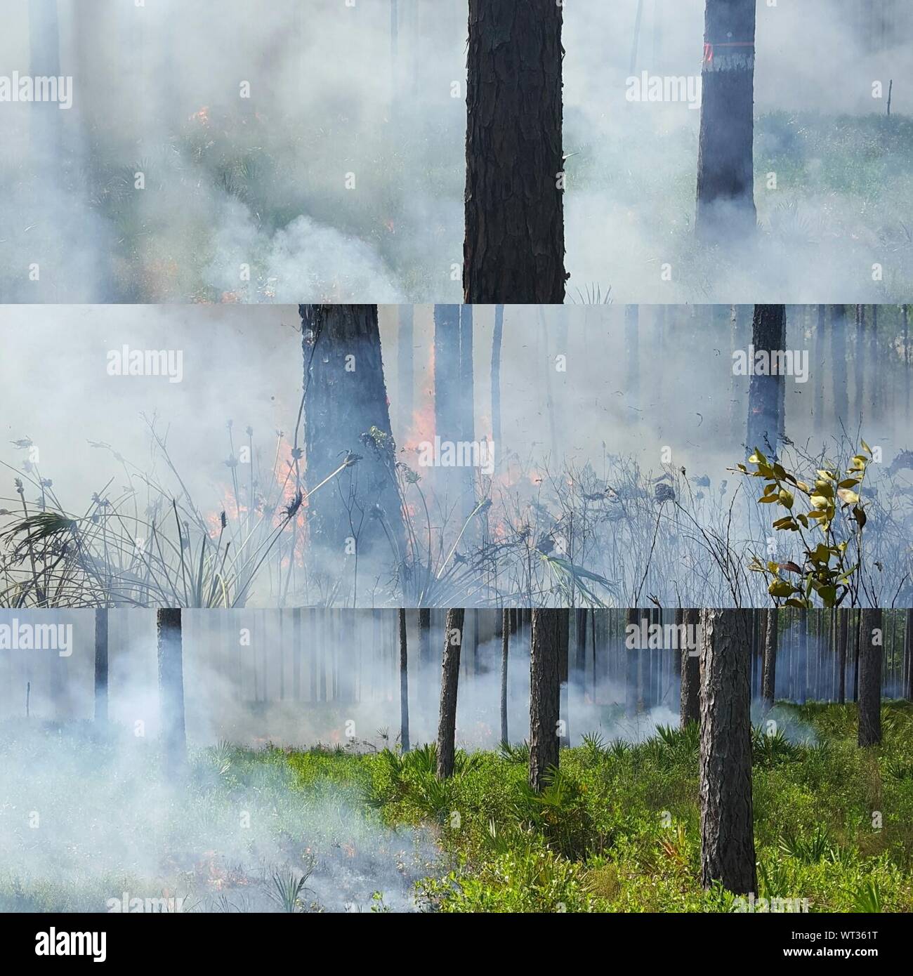 Multiple Fire High Resolution Stock Photography and Images - Alamy