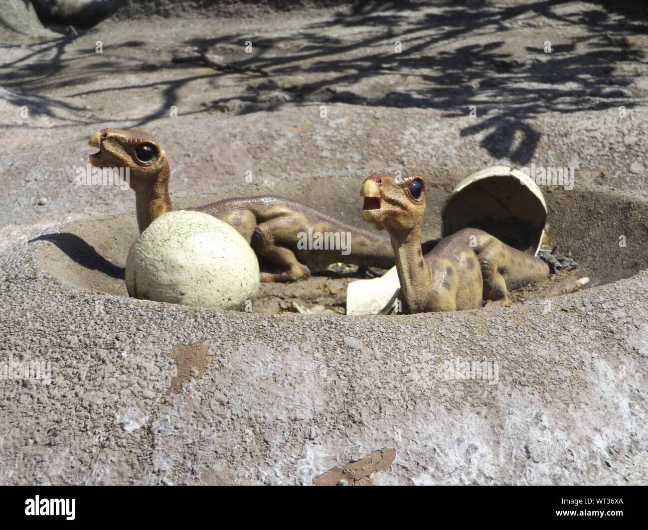 Dinosaurs hatching from eggs hi-res stock photography and images - Alamy