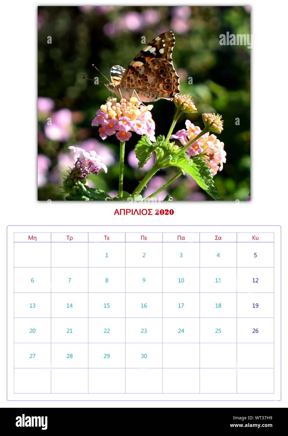Photos of butterflys hi-res stock photography and images - Alamy