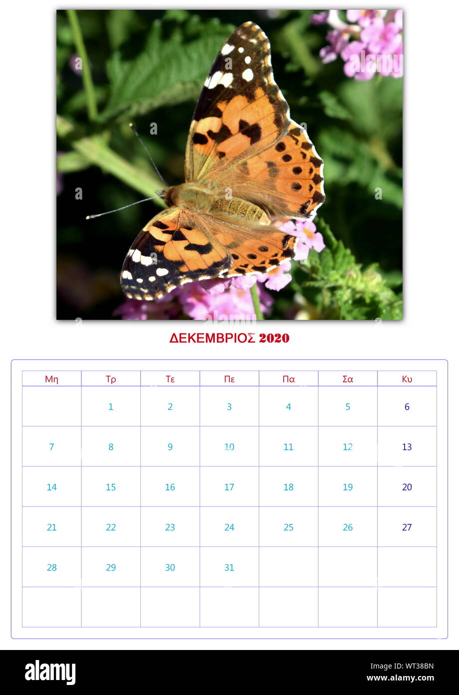 calendar, 2020, per month, 12 photos, butterflys, collection 2 Stock ...