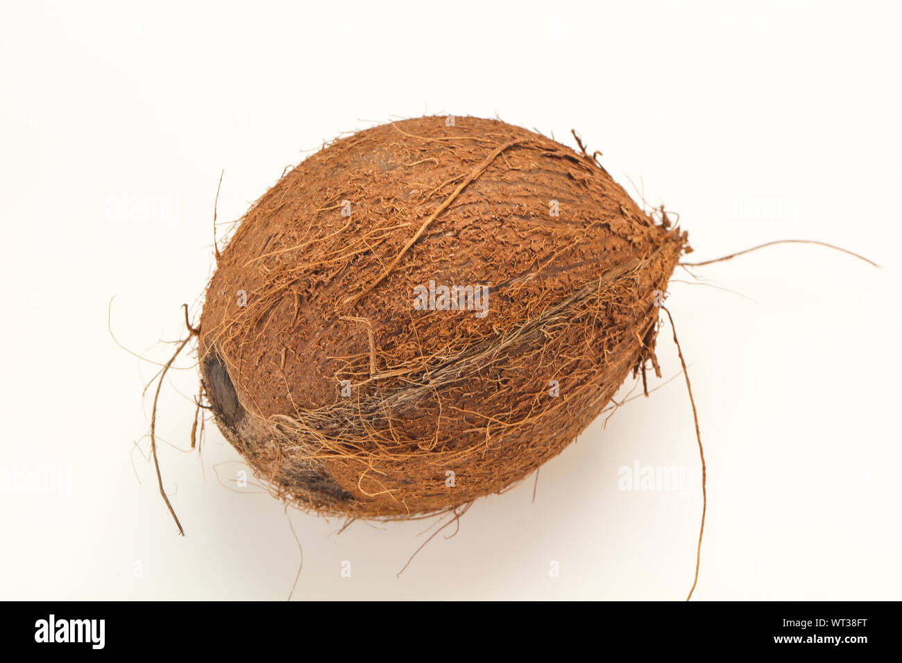 Ripe Coconut isolated on white background Stock Photo - Alamy