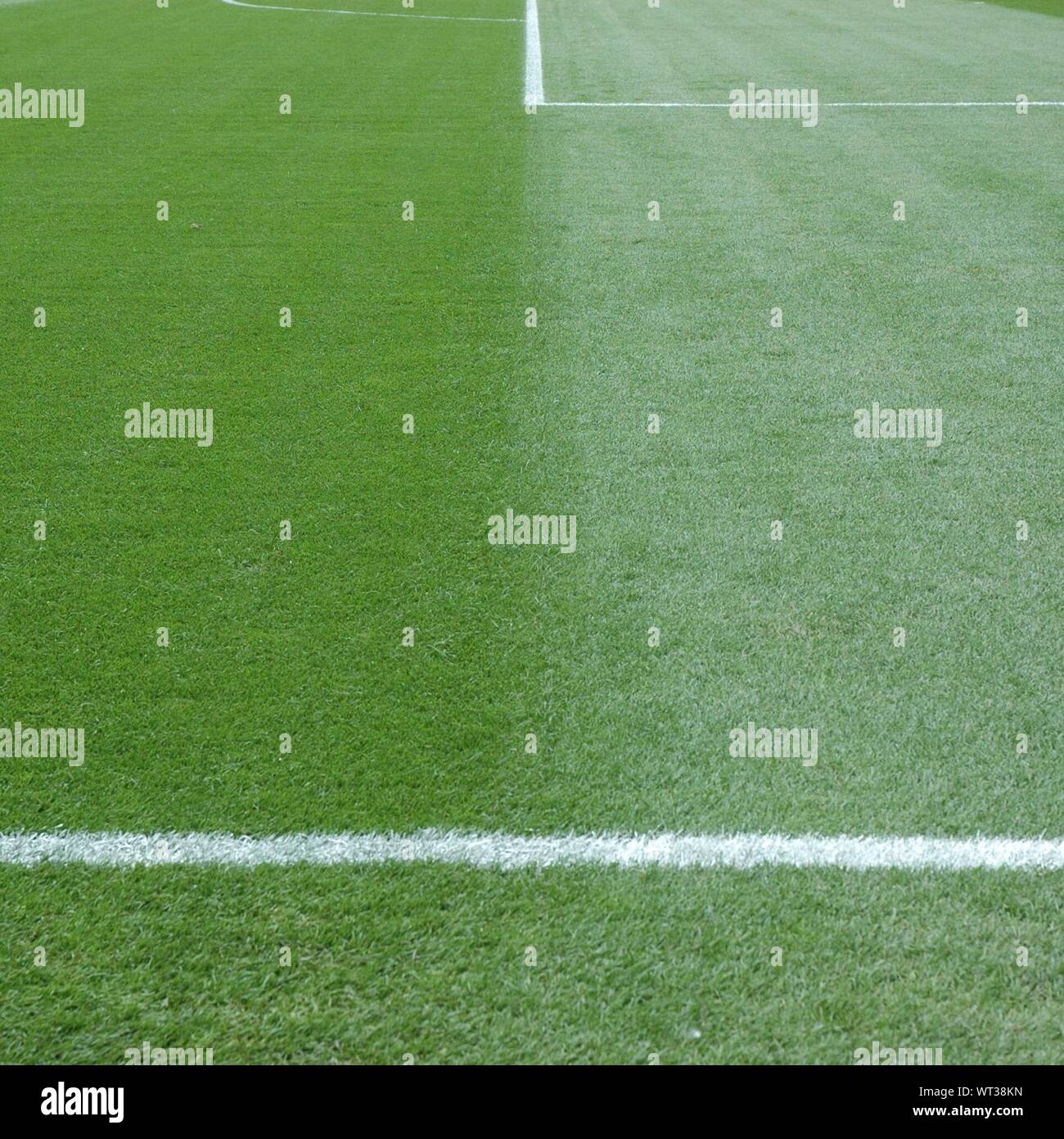 Grass and line hi-res stock photography and images - Alamy