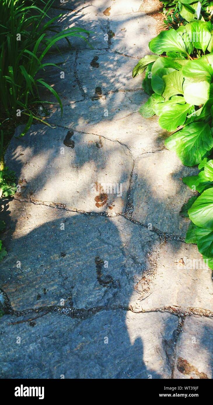 Man made garden path hi-res stock photography and images - Alamy