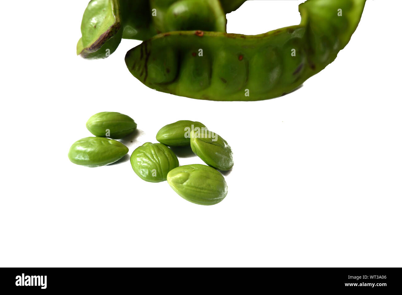 Sato food in southern Thailand Cut white background Stock Photo - Alamy