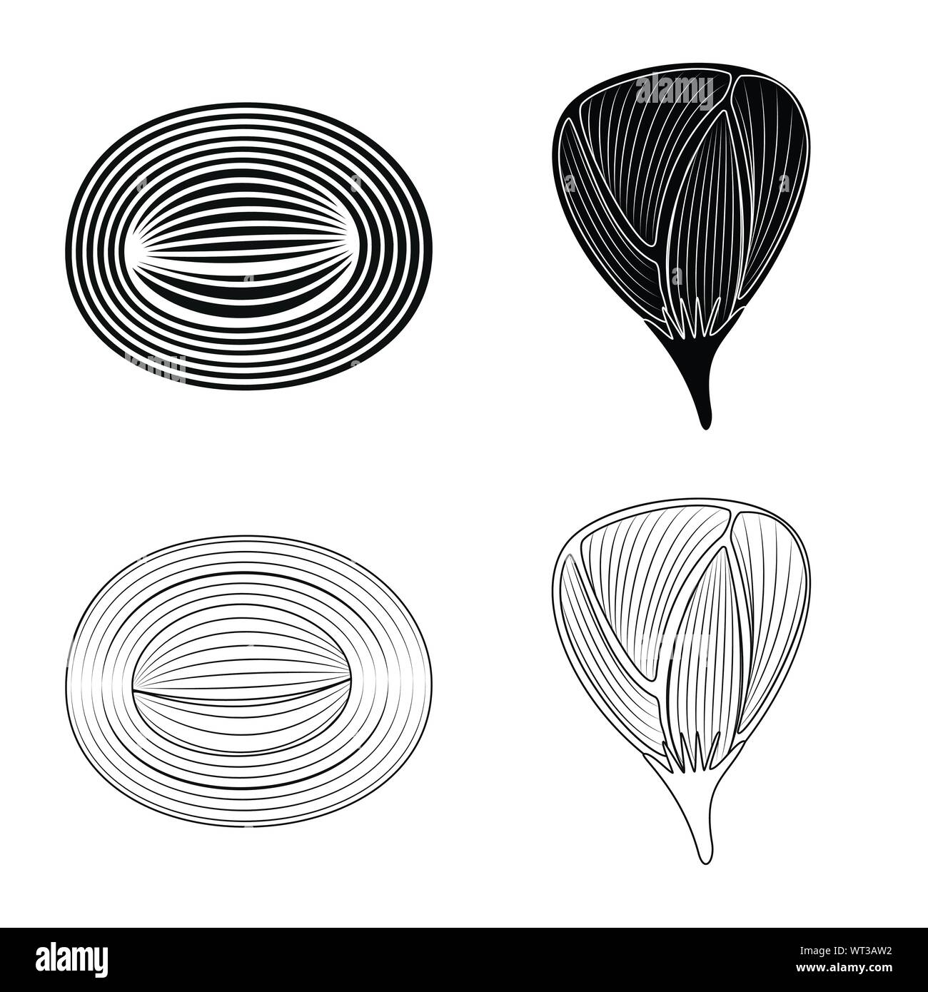Vector illustration of fiber and muscular icon. Set of fiber and body ...
