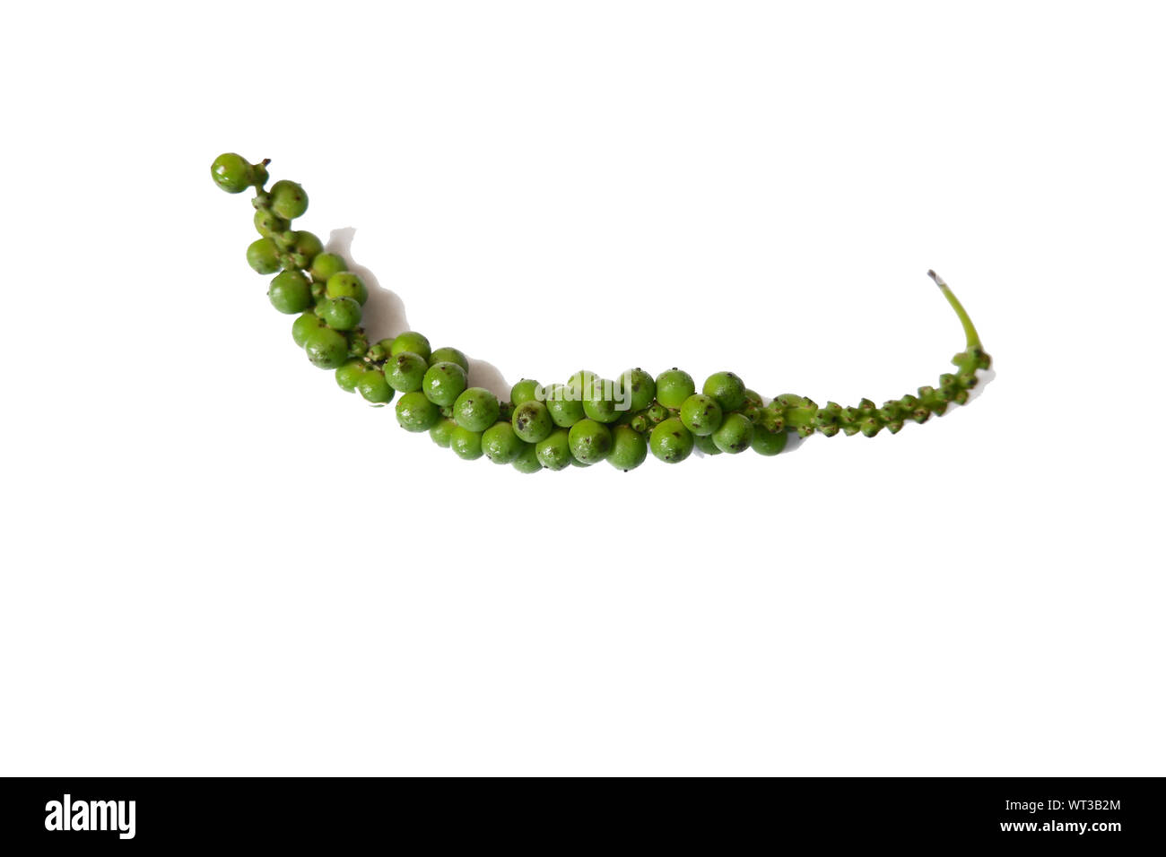 Overhead black pepper Cut Out Stock Images & Pictures - Alamy