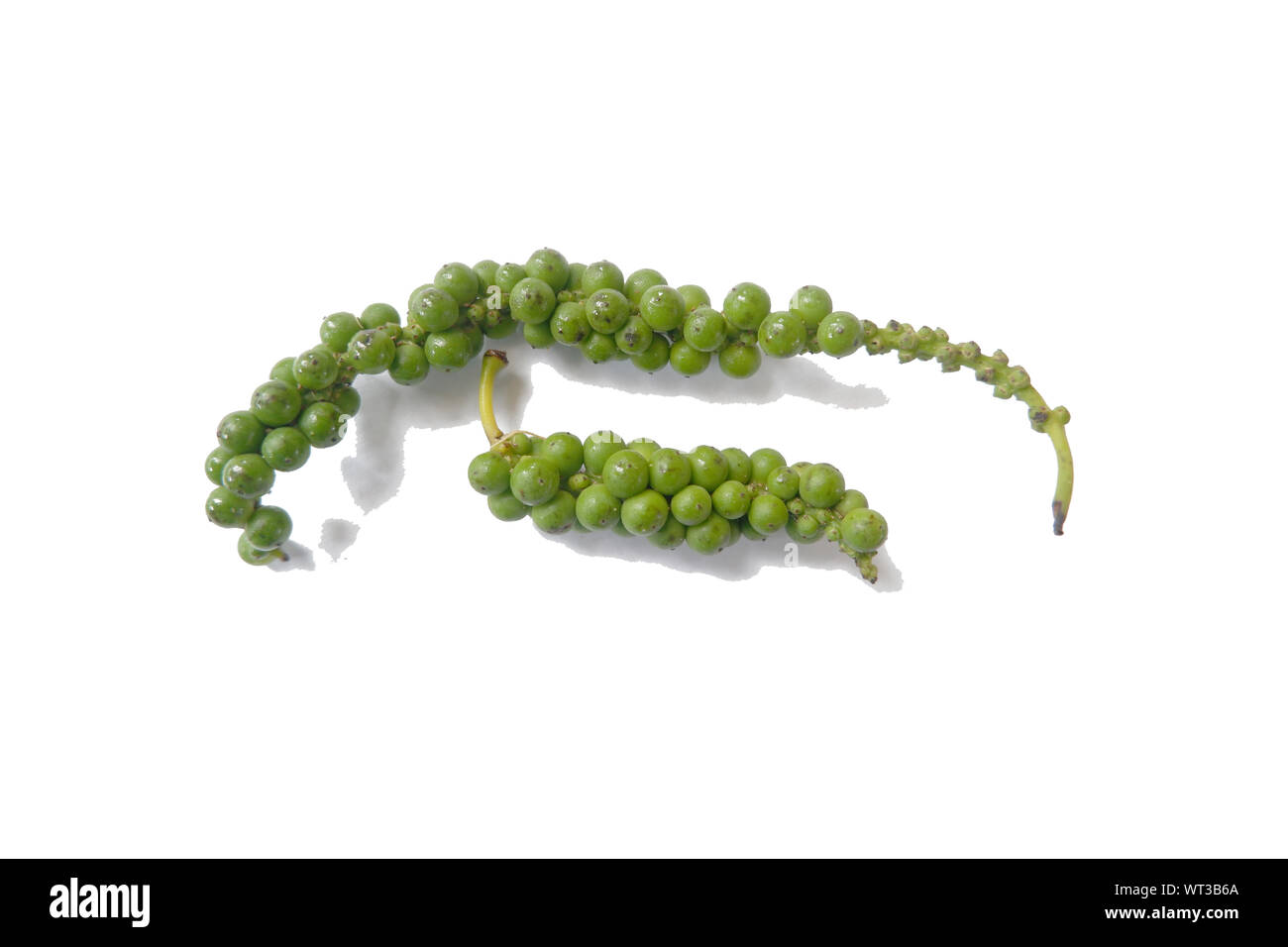 Overhead black pepper Cut Out Stock Images & Pictures - Alamy