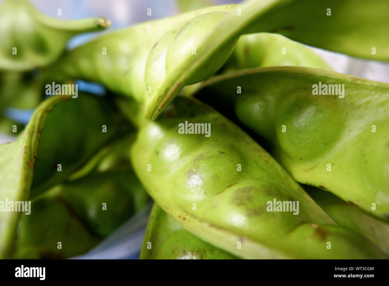 Diet of seeds and vegetation hi-res stock photography and images - Alamy