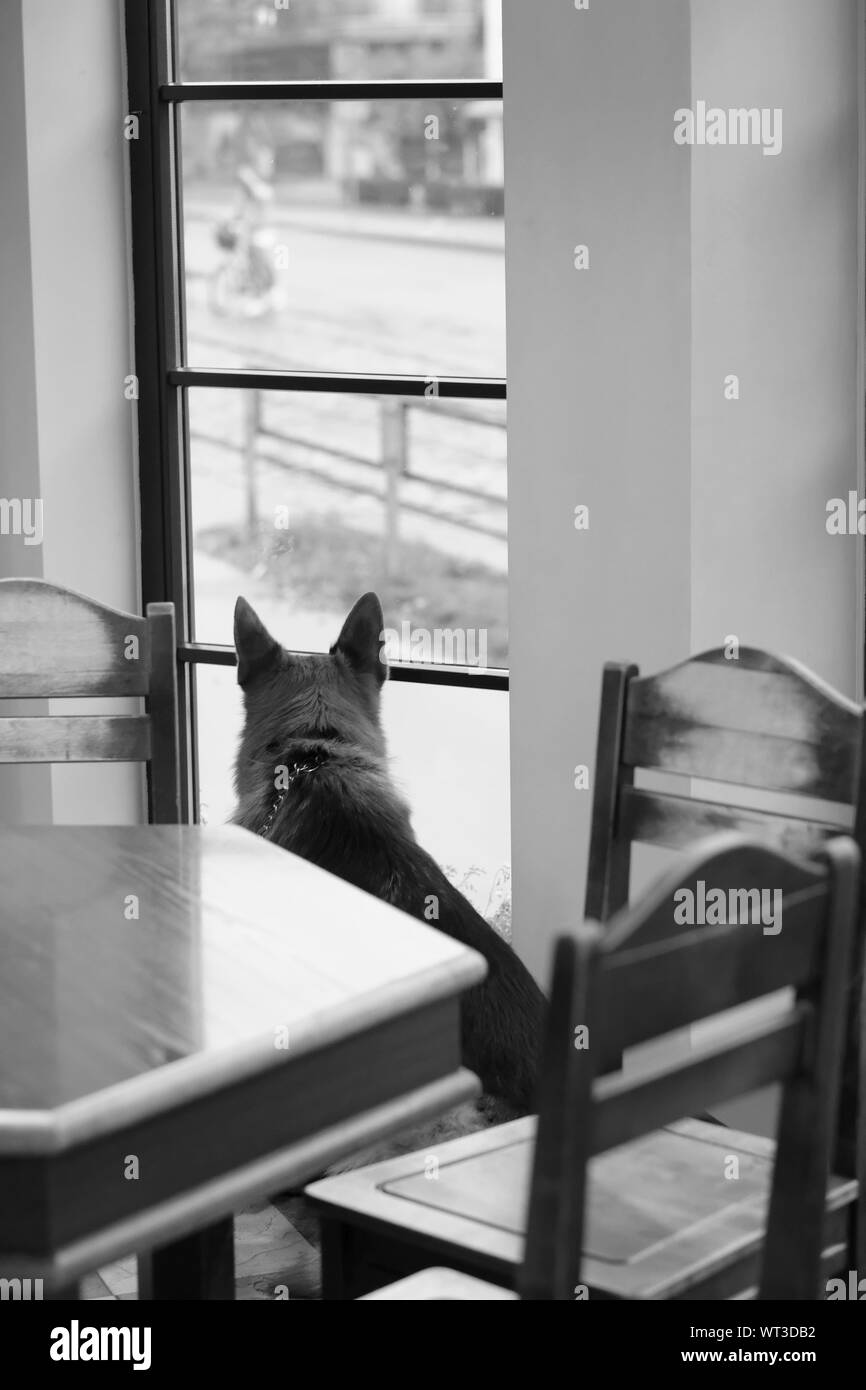 Large wooden character Black and White Stock Photos & Images - Alamy