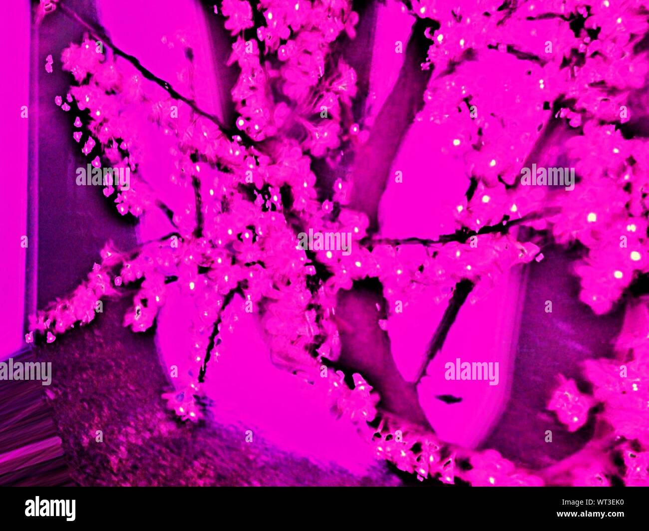 Lights fairy tree hi-res stock photography and images - Alamy
