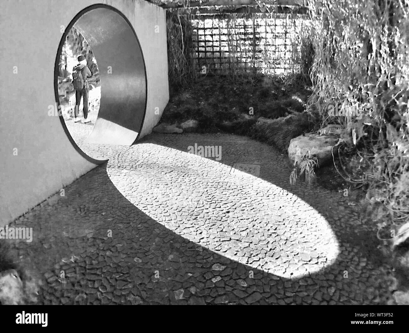 Falling Into Hole Stock Photos & Falling Into Hole Stock Images - Alamy