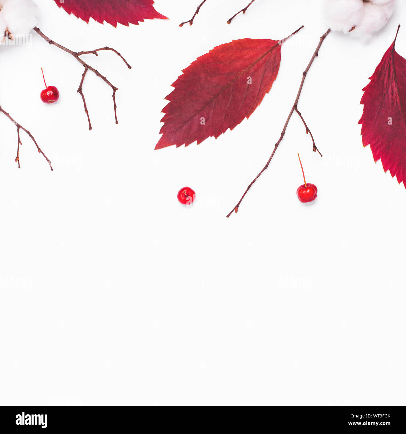 Autumn composition with fallen red leaves, branches and cotton flowers ...