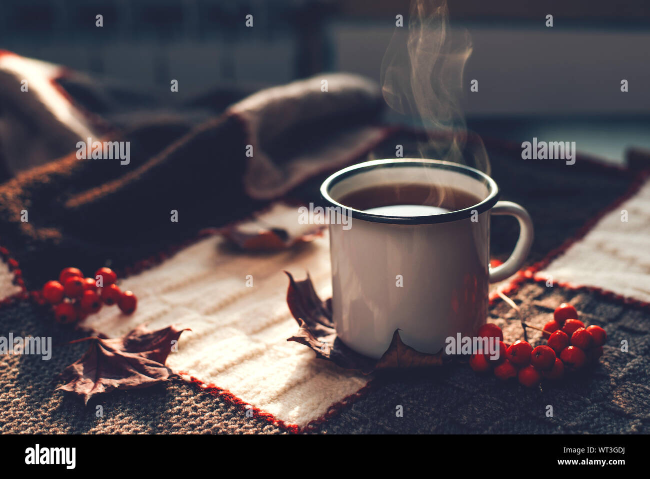 Autumn hot steaming cup of coffee or tea Stock Photo - Alamy