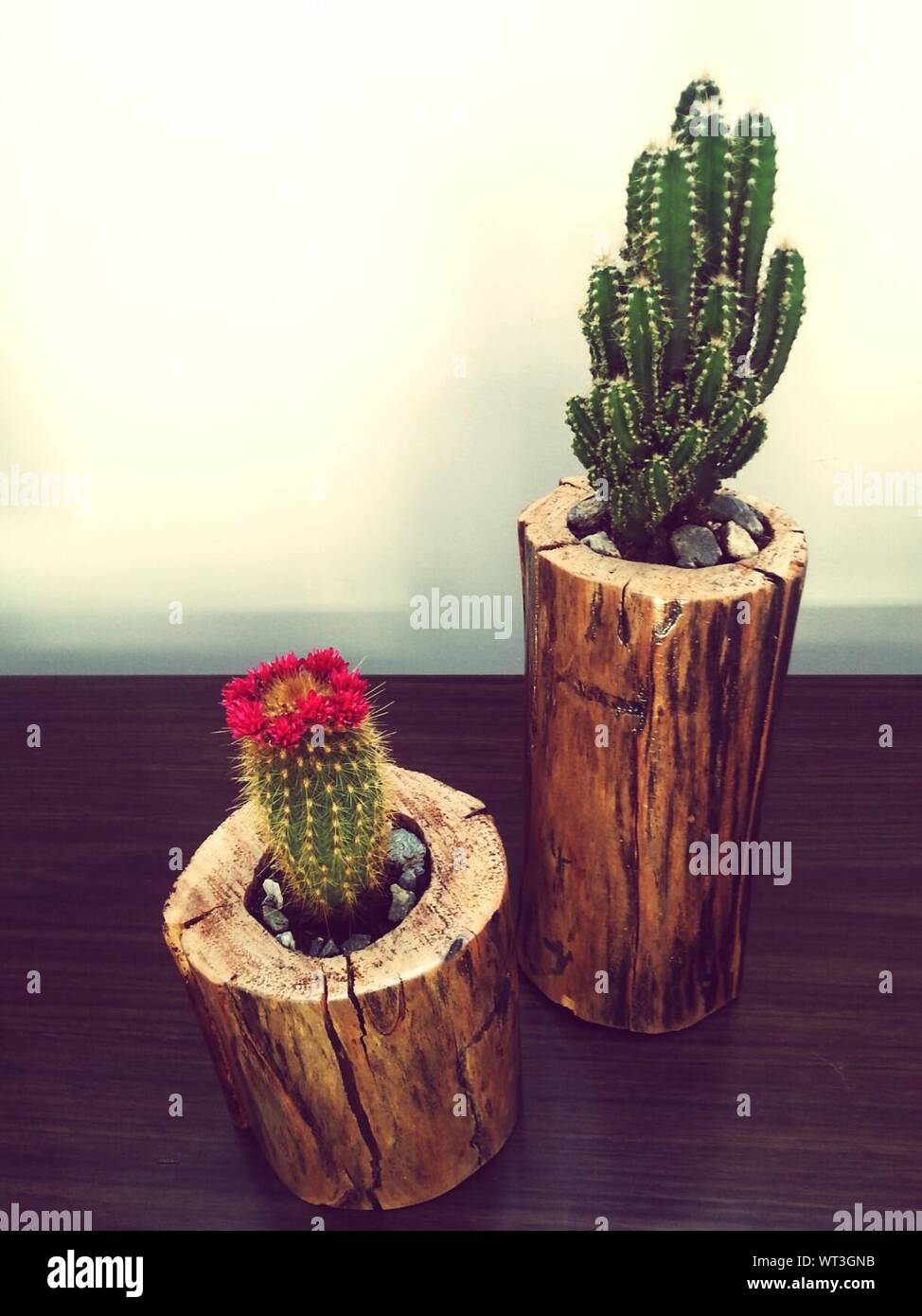 Red stumps hi-res stock photography and images - Alamy