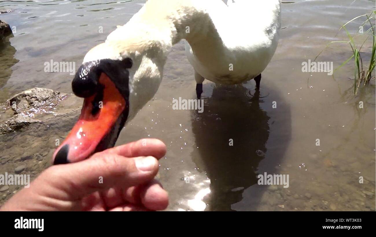 Finger biting hi-res stock photography and images - Alamy