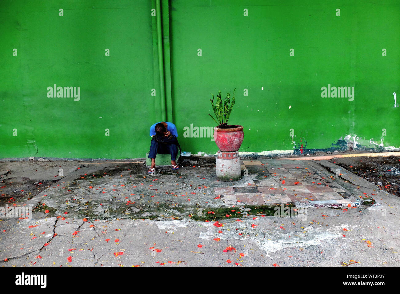 Green sad hi-res stock photography and images - Alamy