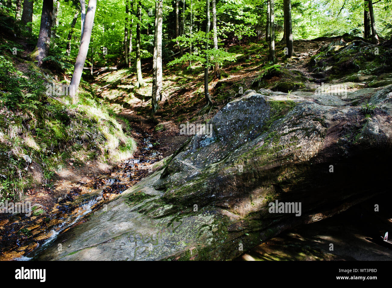 Amazing landscape with high Carpathian mountains, beautiful curving ...