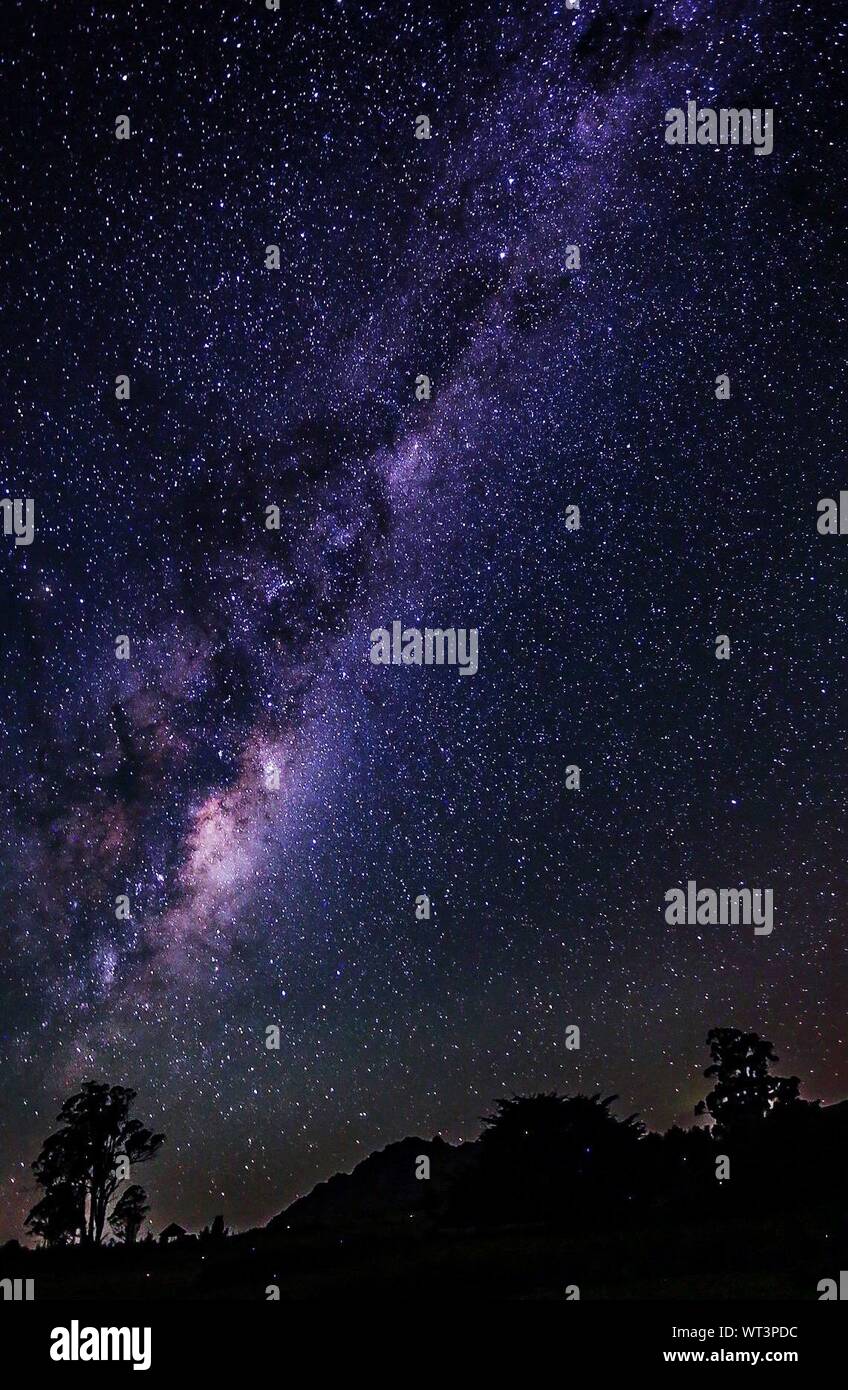 Milky way over trees hi-res stock photography and images - Alamy