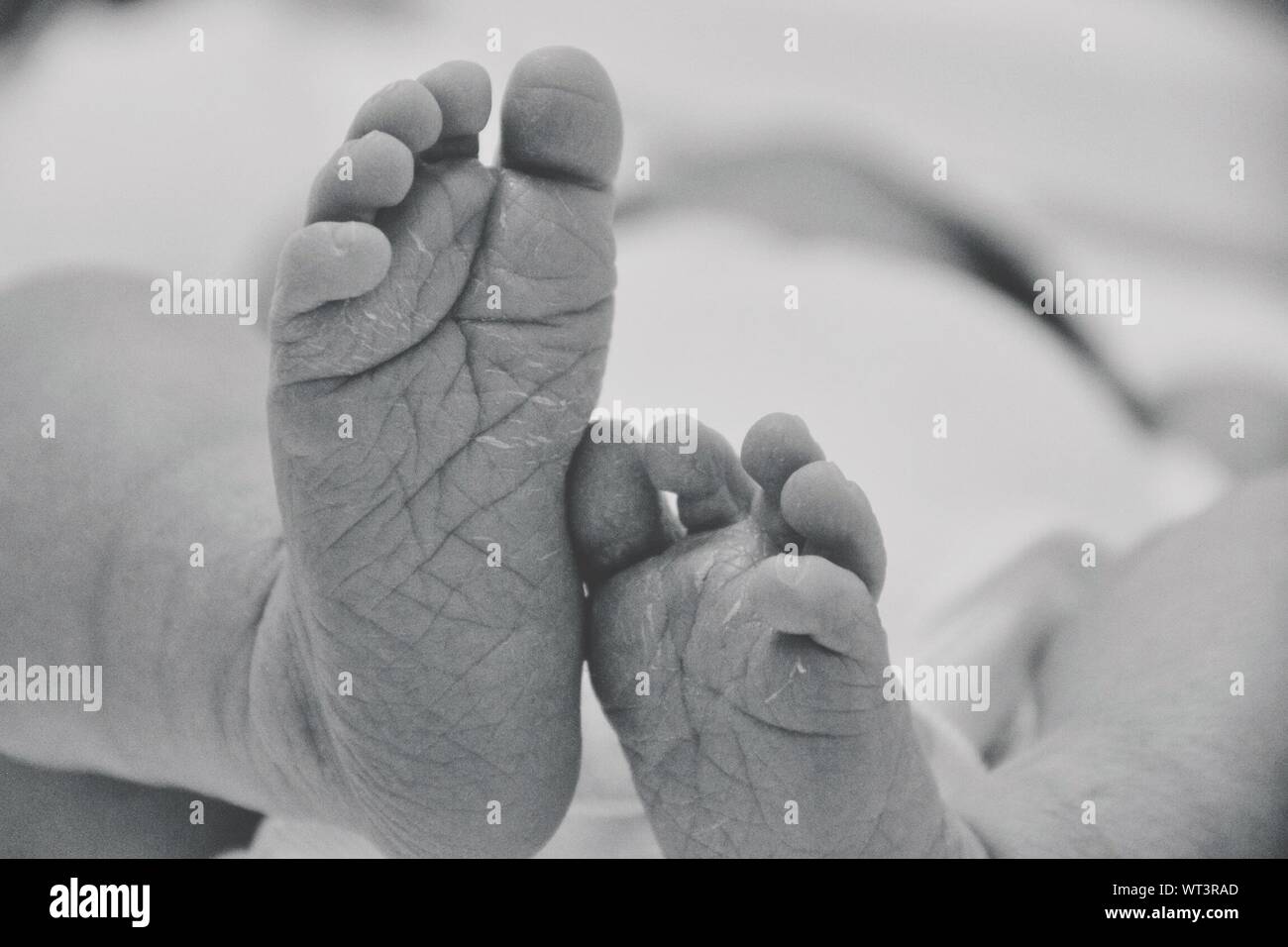 Newborn feet sole hi-res stock photography and images - Alamy