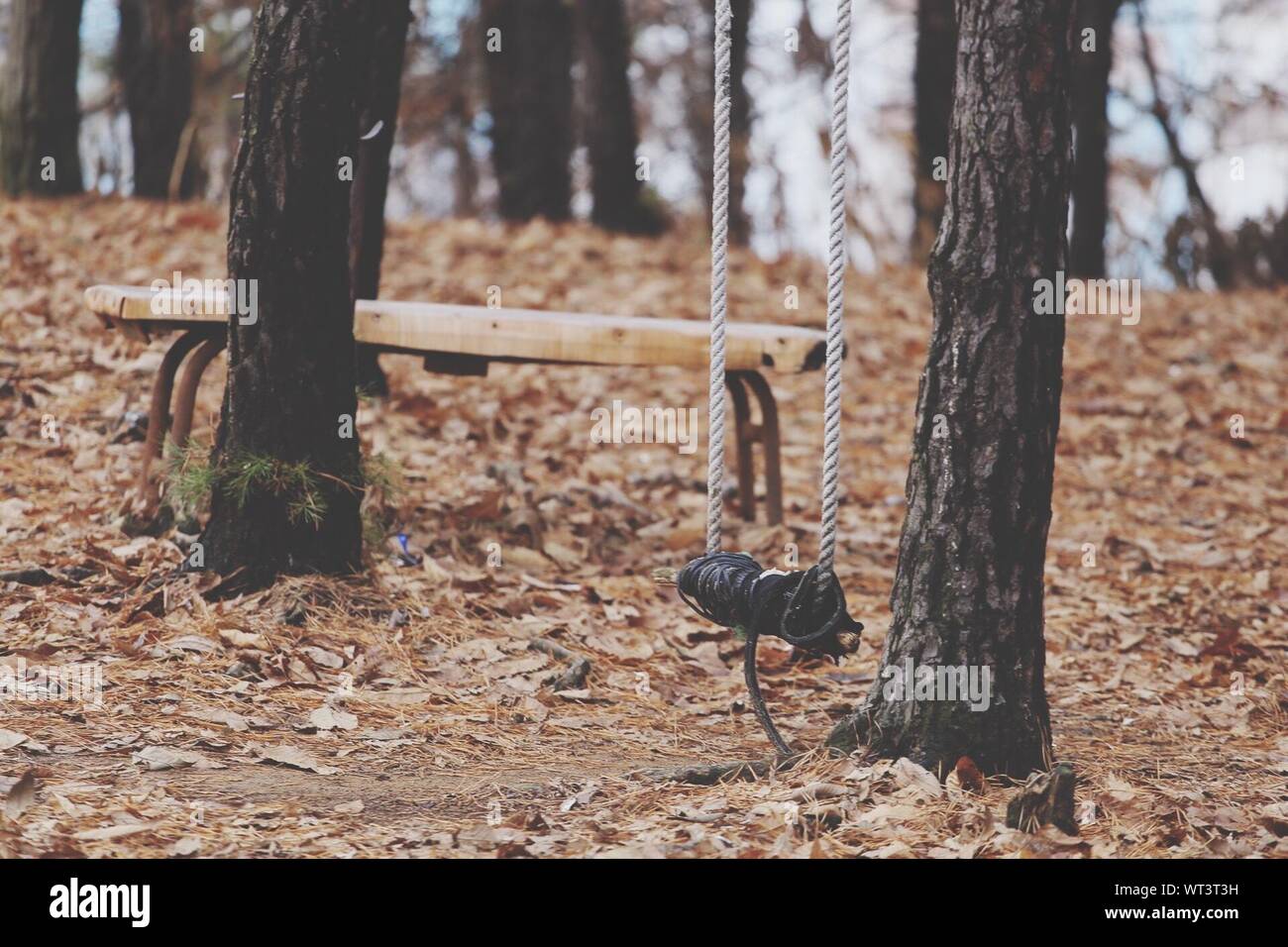 Playground swing seat hi-res stock photography and images - Alamy